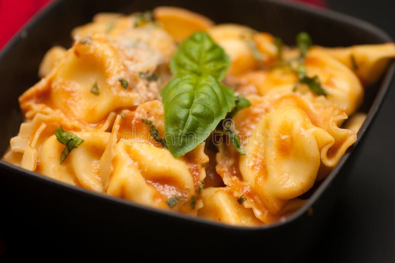 Cheese Stuffed Ravioli in Tomato Sauce Stock Image - Image of dinner ...