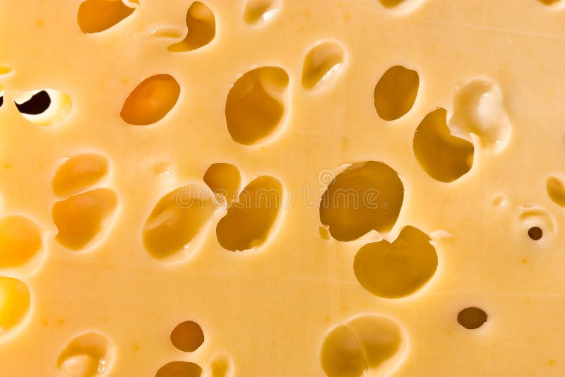 Cheese Texture Picture. Image: 4798665