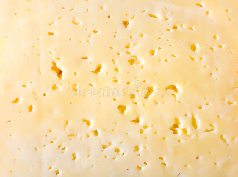 Cheese texture stock photo. Image of textured, dairy, food - 8890480