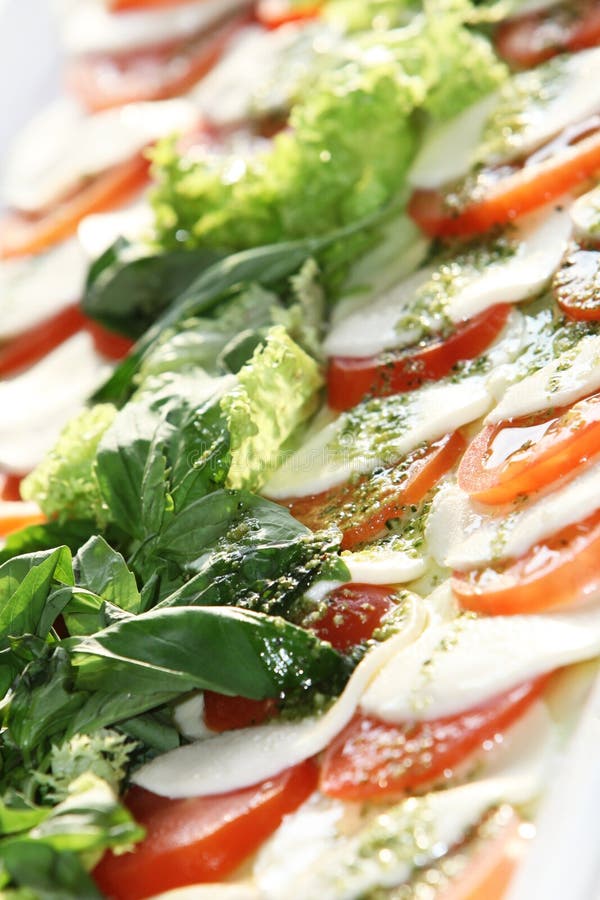 Cheese and tomato buffet stock photo. Image of vegetable - 25030188