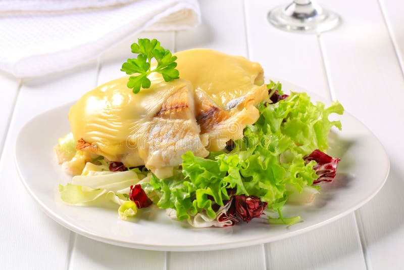 Cheese Topped Fish Fillets with Salad Stock Image - Image of fillet ...