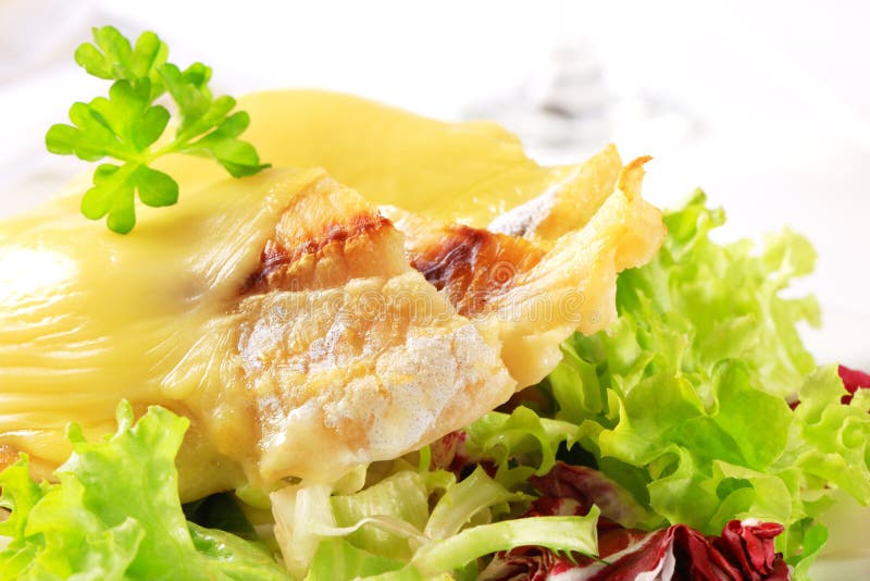Cheese Topped Fish Fillets with Salad Stock Image - Image of fried ...