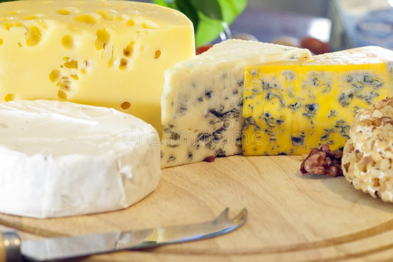 Cheese various assortment stock photo. Image of hard - 28679064