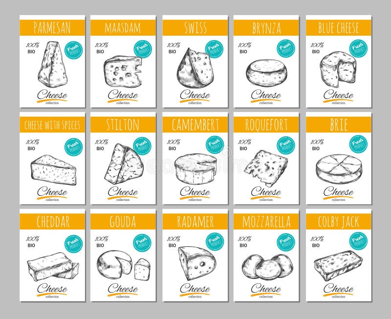 Cheese. Vector Hand Drawn Banners, Labels with Different Types of ...