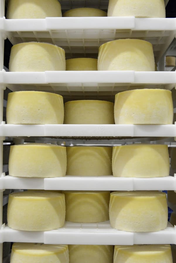 Cheese waiting to mature stock photo. Image of natural - 65460604