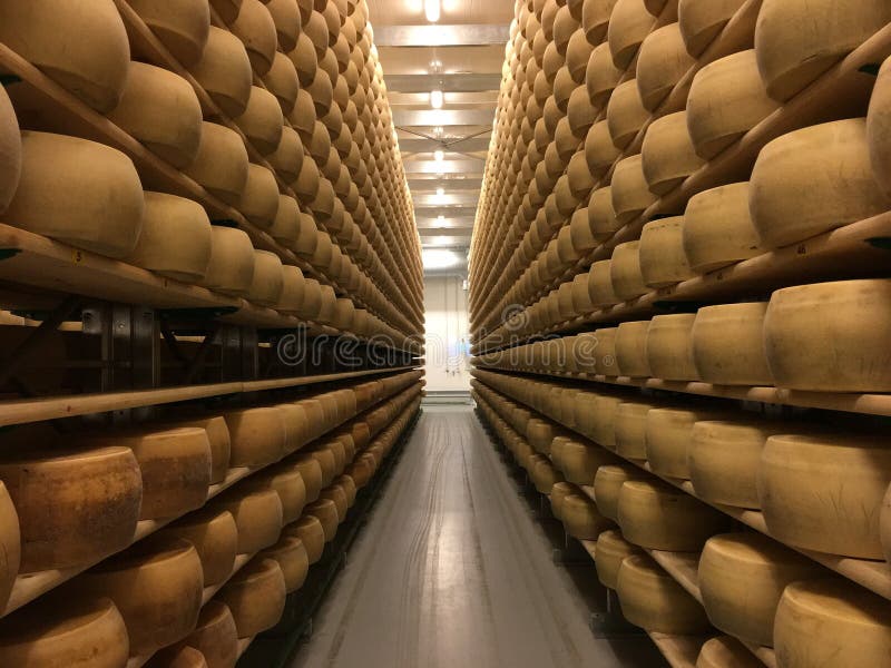Cheese In Cellar stock image. Image of stack, maturation - 6270277