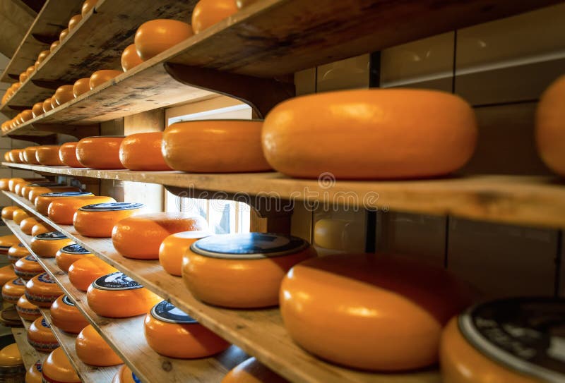 Cheese Wheels Made in the Netherlands Stock Image - Image of yellow ...