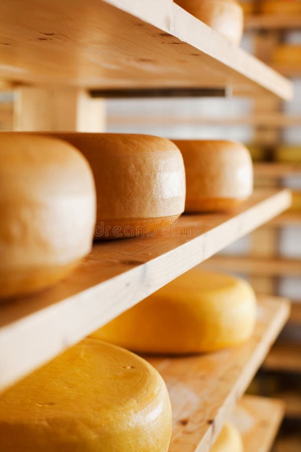 Cheese shop stock image. Image of culture, dairy, gastronomy - 19342013