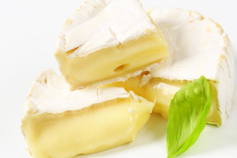 Cheese with white rind stock photo. Image of mold, rind - 107216700