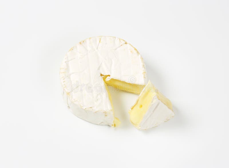 Cheese with white rind stock photo. Image of cheese - 107217008
