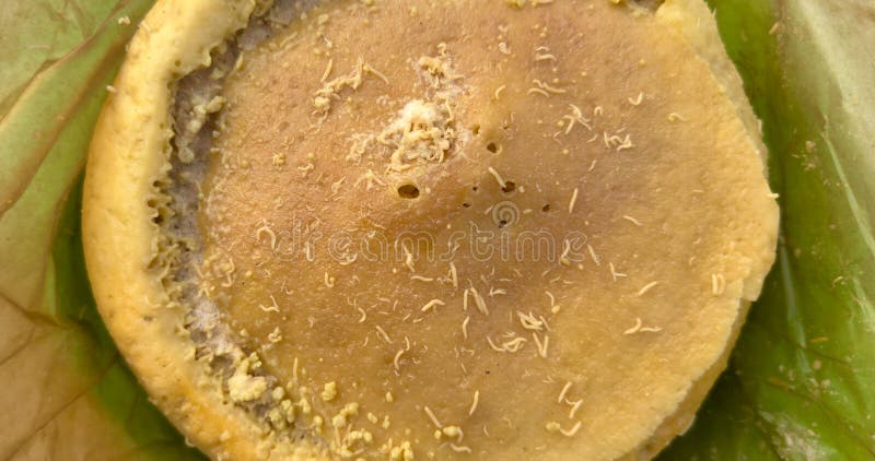 Cheese with Worms or Casu Martzu Stock Photo - Image of sardinia, blank ...