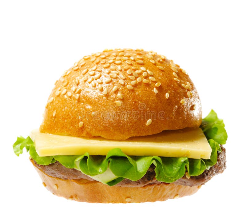 Cheeseburger stock photo. Image of cheese, food, calories - 9831958