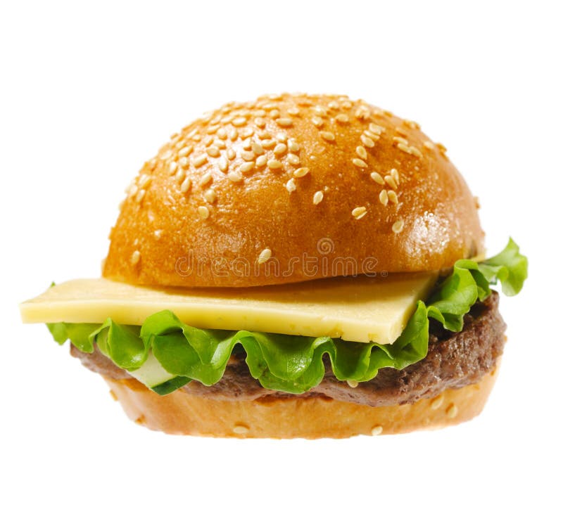 Cheeseburger stock photo. Image of cheeseburger, bread - 9831984