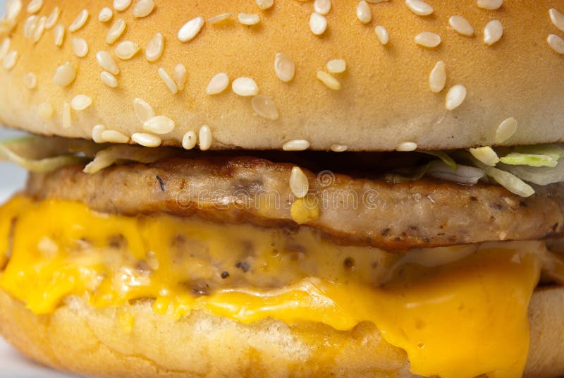 Cheeseburger closeup stock photo. Image of food, nutrition - 14405666