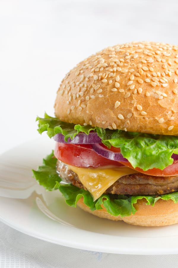 Cheeseburger stock photo. Image of juicy, closeup, cheese - 40348288
