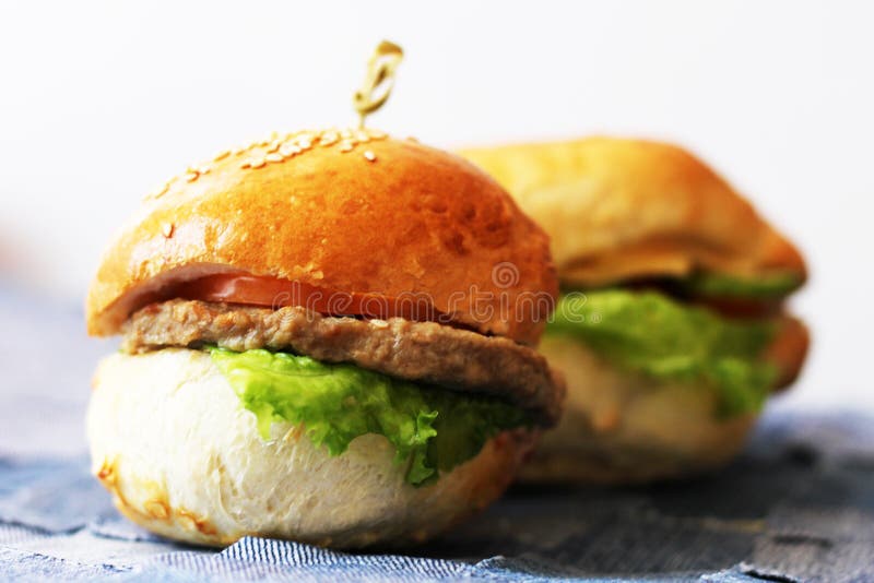 Cheeseburger with Fresh Herbs, Delicious Fast Food Stock Photo - Image ...