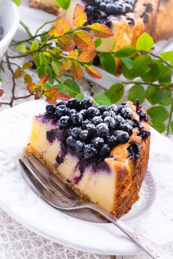 Cheesecake blueberries stock image. Image of crust, cold - 57565383