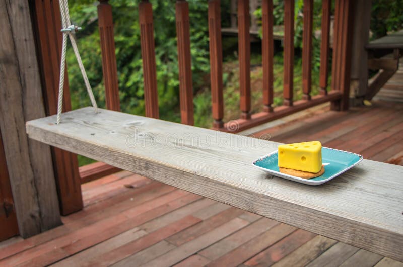 Cheesecake in Dish on Wood Swing Stock Image - Image of decoration ...