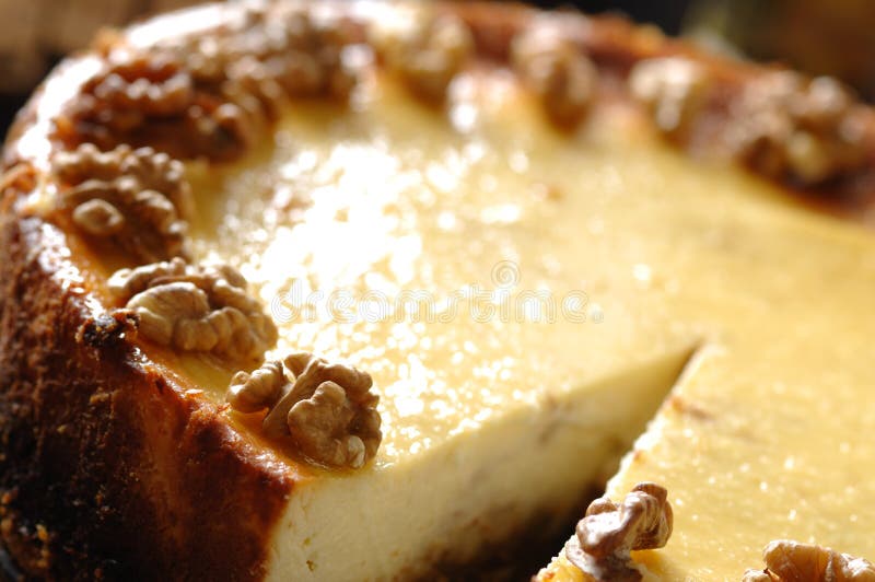Cheesecake with Nuts stock image. Image of homemade, cheesecake - 8929825