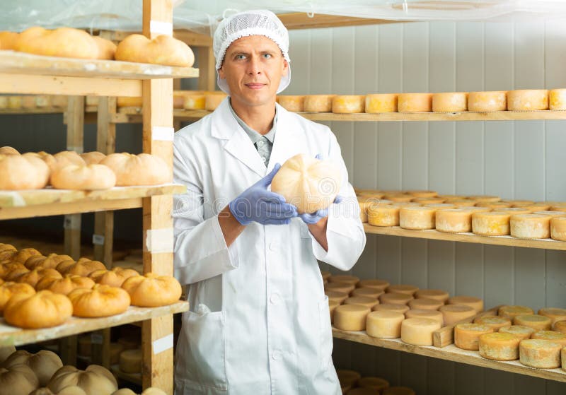 Cheesemaker Checking Aging Process of Cheese in Maturing Chamber Stock ...