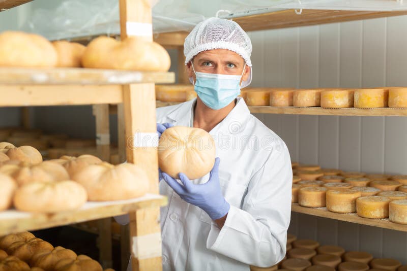 Cheesemaker Checking Aging Process of Goat Cheese in Maturing Chamber ...