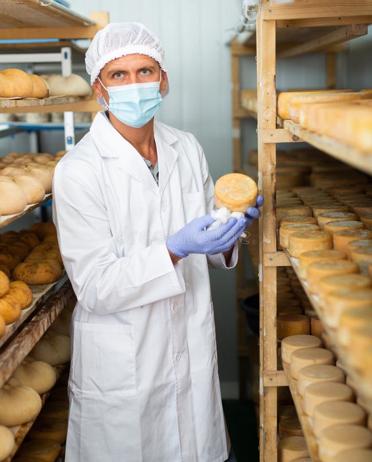 Cheesemaker Checking Aging Process of Goat Cheese in Maturing Chamber ...