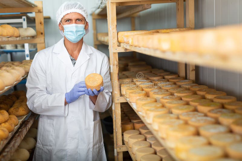 Cheesemaker Checking Aging Process of Goat Cheese in Maturing Chamber ...