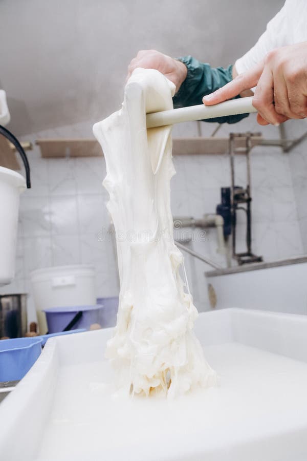 Cheesemaker Con Barba Cocina Mozzarella Y Contiene Queso Fresco. Foto ...