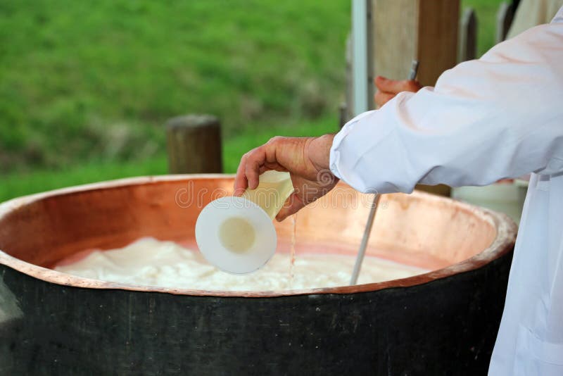 Cauldron with the Fermented Milk To Make Cheese in the Dairy Stock ...