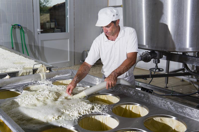 Cheesemaker Pours Cheese Just Curdled Stock Photo - Image of making ...