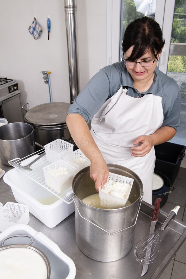 Cheesemaker Pours the Curdled Milk into the Plastic Forms Stock Image ...