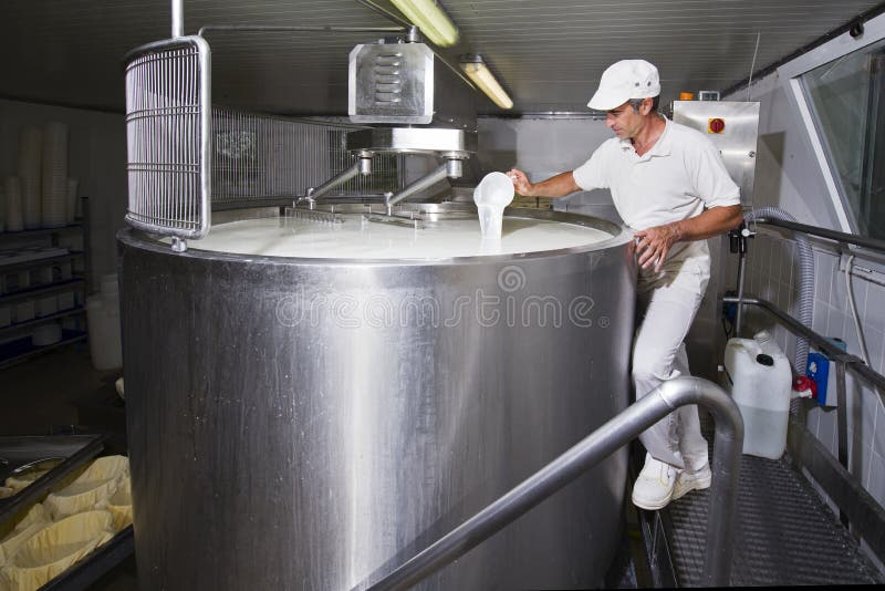 Cheese Maker Is Mixing The Milk Stock Photo - Image of dairyman ...