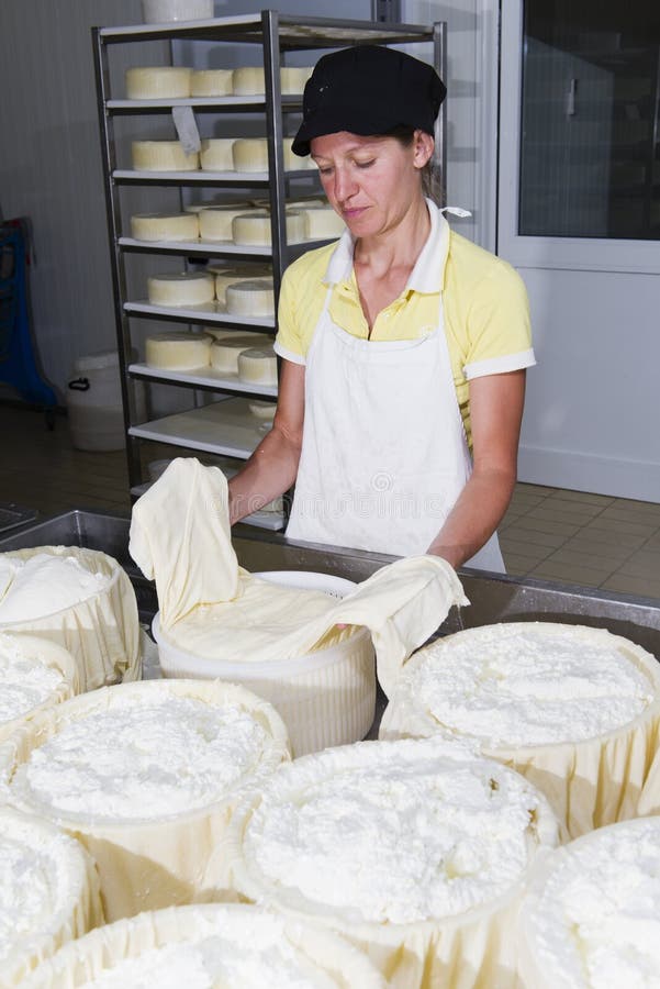 Cheesemaker Preparing Fresh Cheese Stock Image - Image of craftsman ...