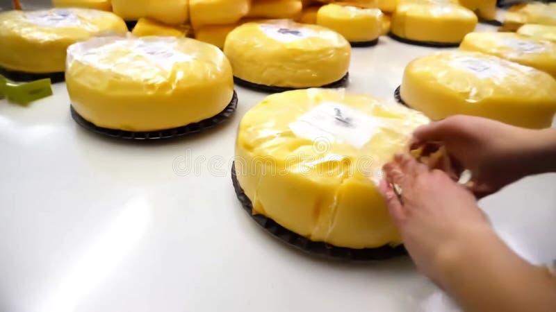 Cheesemaking Process stock video. Video of food, cheesemaking - 365530241