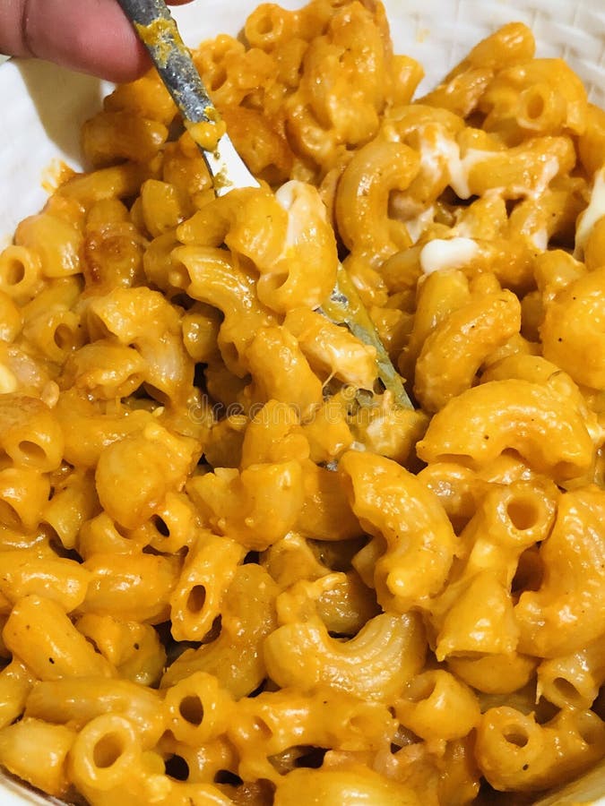 Cheesy Chicken Pasta Image for Web Uses Stock Image - Image of pasta ...