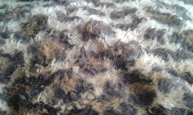 Cheeta animal skin pattern stock photo. Image of patter - 215034074