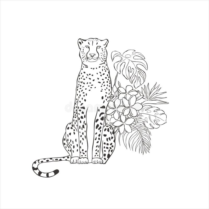 Cheetah Flowers Stock Illustrations – 827 Cheetah Flowers Stock ...