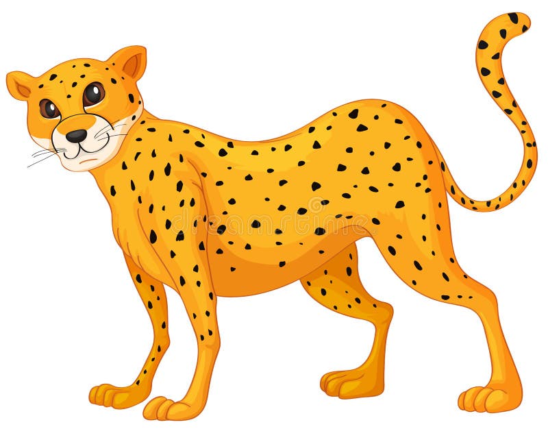 Cute cheetah cartoon stock vector. Illustration of mammal - 30568307 Cute cheetah cartoon stock vector. Illustration of mammal - 30568307