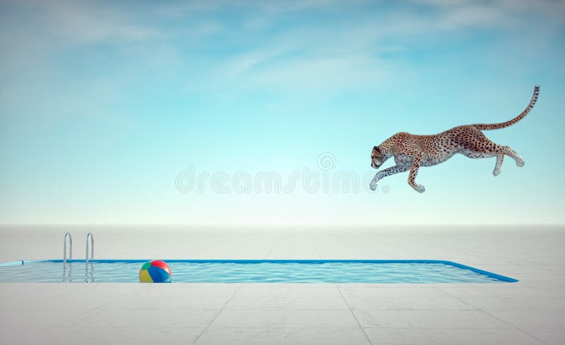 Cheetah Jumping into O Pool Stock Illustration - Illustration of travel ...