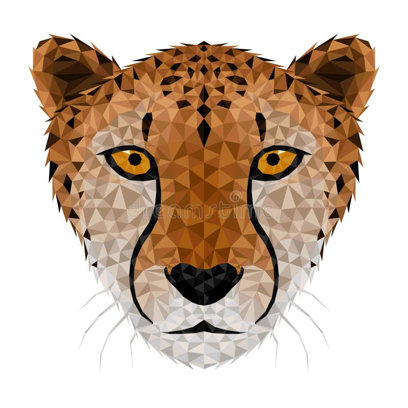 Cheetah Low Poly. Low Poly Cheetah Face Stock Vector - Illustration of ...