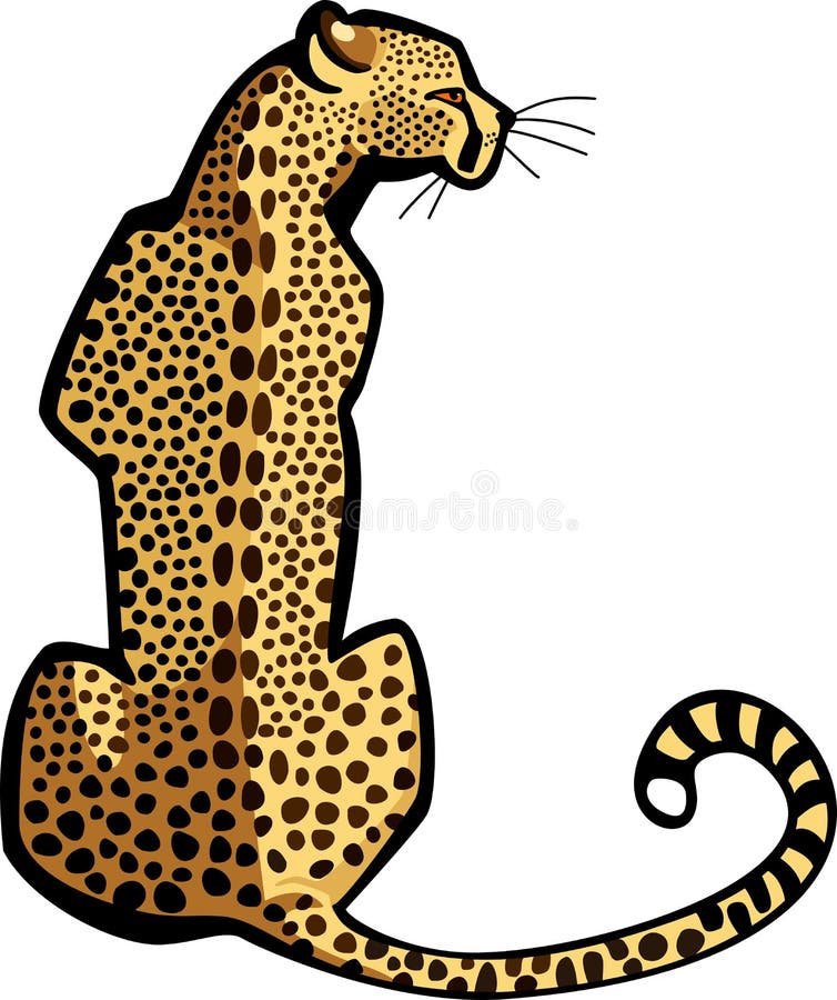 Sitting Cheetah stock vector. Illustration of wild, carnivore - 66439421