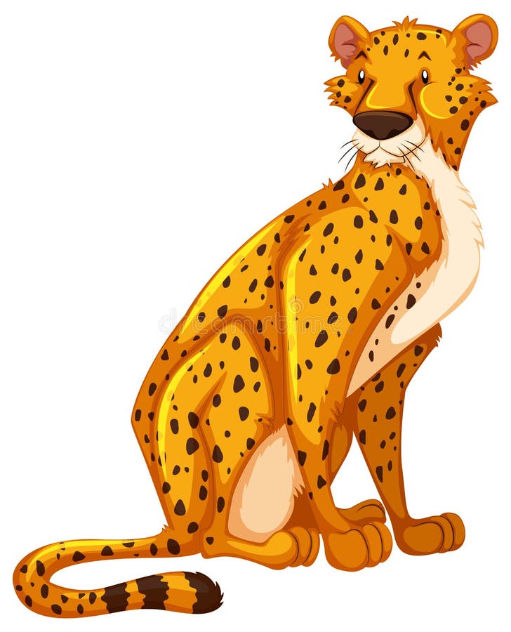 Cheetah Sitting Stock Illustrations – 203 Cheetah Sitting Stock ...