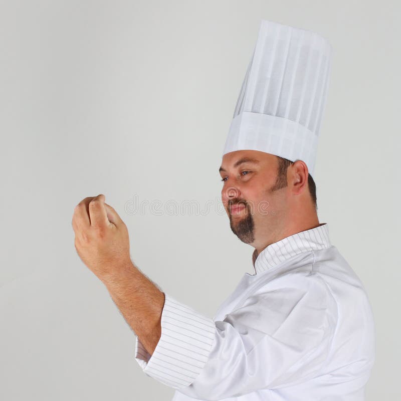 Chef stock image. Image of staff, restaurant, help, appetizer - 26934005