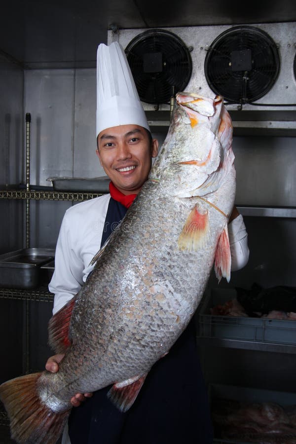 Chef and big fish stock image. Image of fish, smile, smiling - 11486653