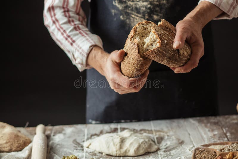 Chef Breaking Freshly Baked Sourdough Bread Stock Image - Image of ...