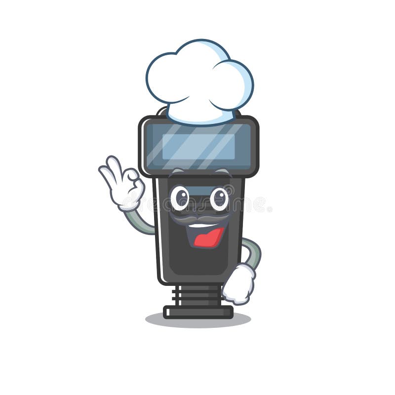 Chef Camera Flash Isolated with the Mascot Stock Vector - Illustration ...