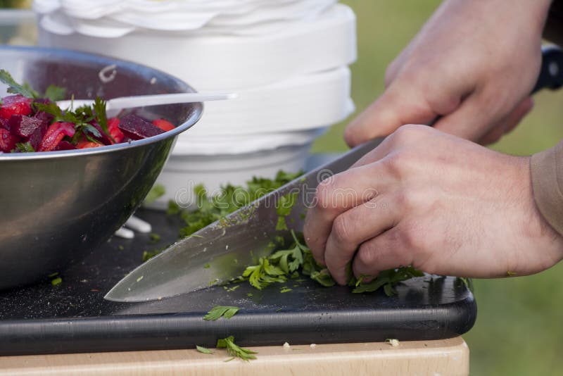 Chef chopping parsley stock image. Image of hands, cutting - 21769885