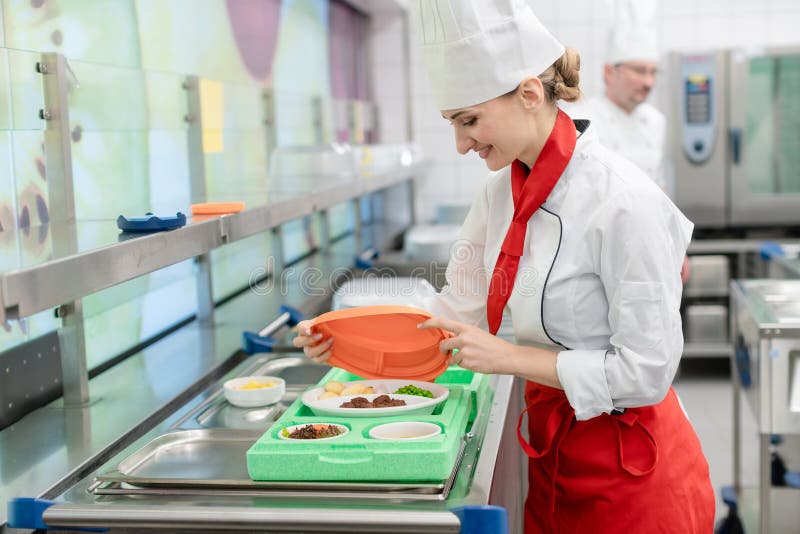 Chef in Commercial Kitchen Preparing Meal for Delivery Stock Photo ...