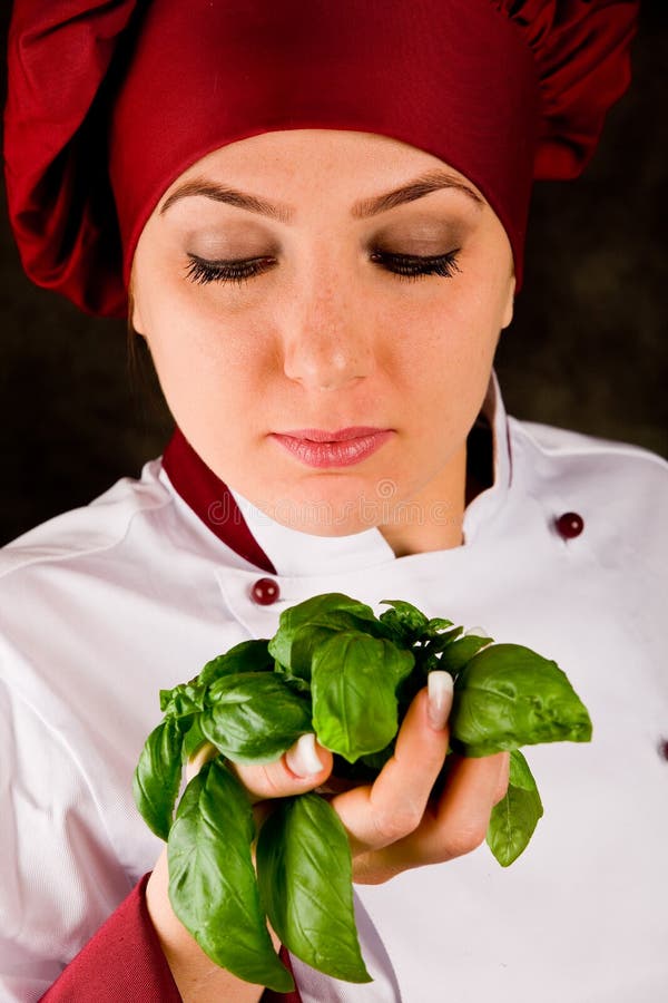 Chef is Controlling Basil Quality Stock Image - Image of basil ...