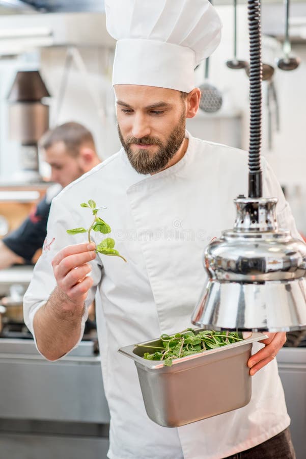 Chef cook at the kitchen stock image. Image of person - 86223101